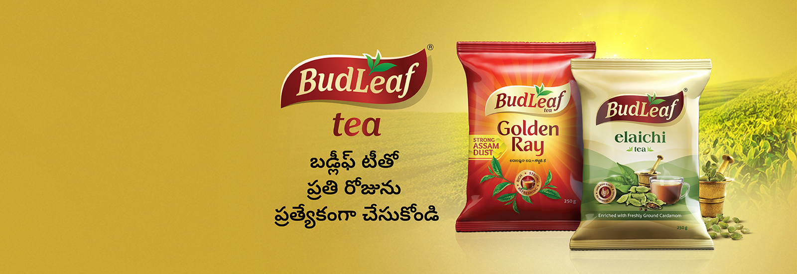 Landing-andhra-pradesh - BudLeaf